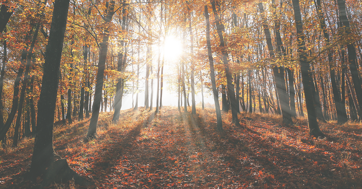 Muncie Mission Ministries | Homeless Shelter | Recovery Center